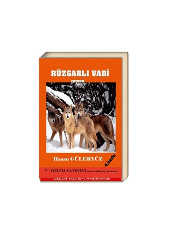 ROMAN, GENÇLİK, EDEBİYAT